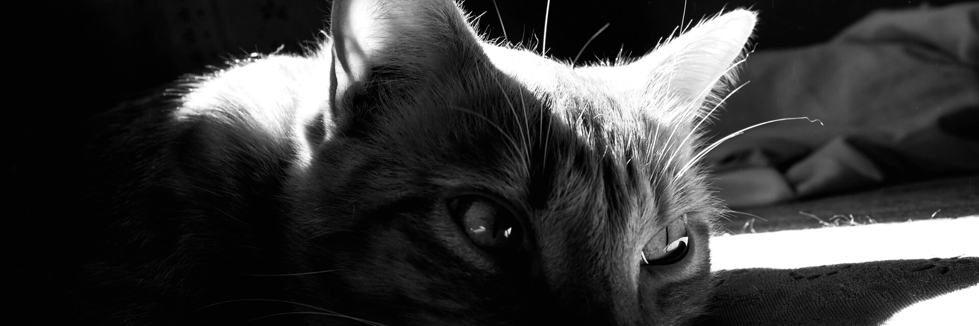 ArtStation - Jacqueline Razo