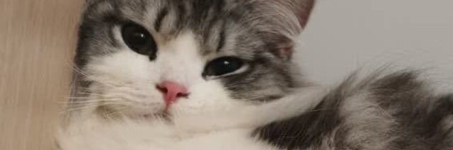 ArtStation - Regnar Wu