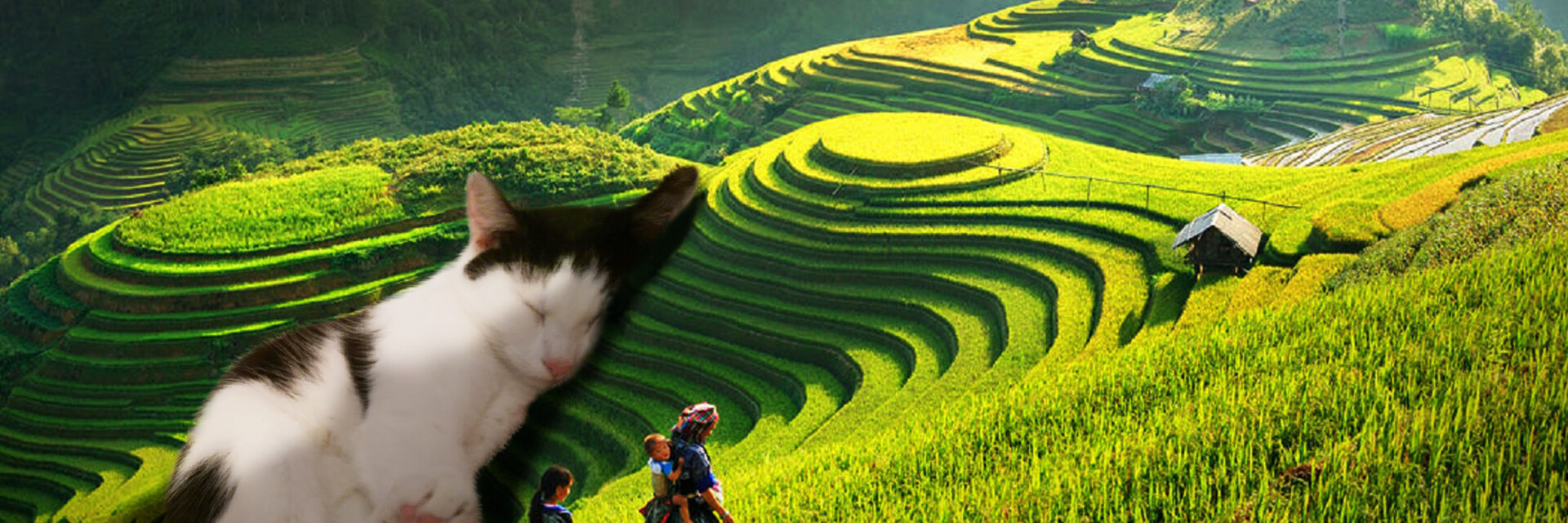 ArtStation - Benjamin Huynh