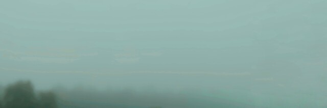 ArtStation - fairy jay viola