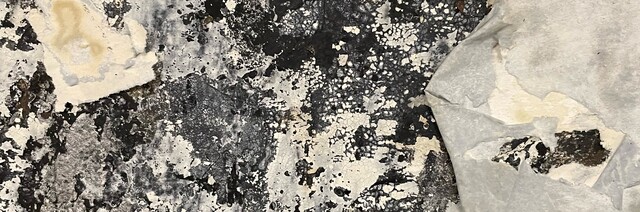 ArtStation - sean caffrey