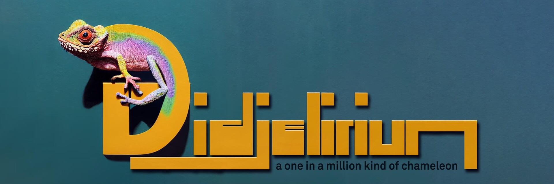 Didjelirium - Portfolio