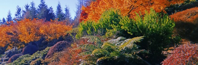 ArtStation - Charlotte Paterson