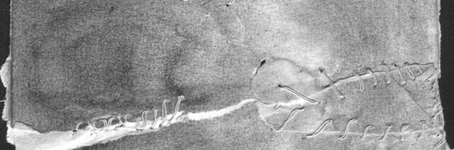 ArtStation - Vira Pakosh