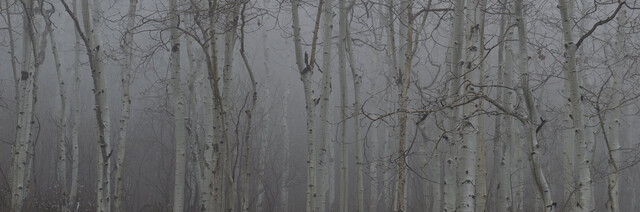 ArtStation - Jennifer McManus