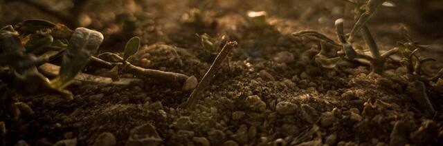 ArtStation - Himavanth Chandra.R