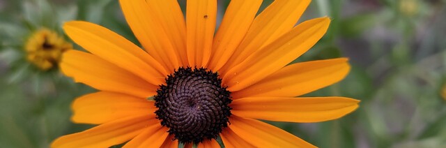 ArtStation - Nicko Sm