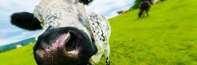 ArtStation - Jake Peck