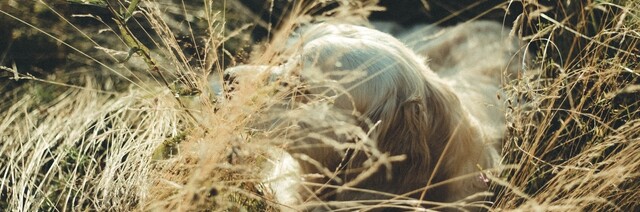 ArtStation - Stepan Zelenov