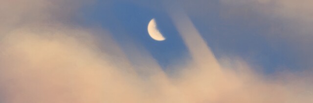 ArtStation - Freya_N