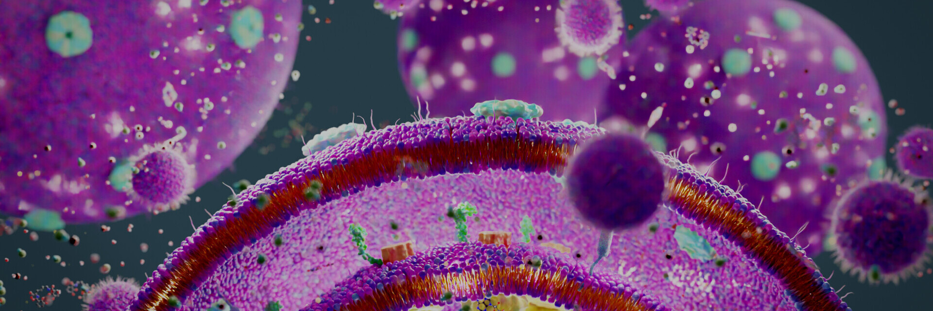 Benjamin Large - Portfolio