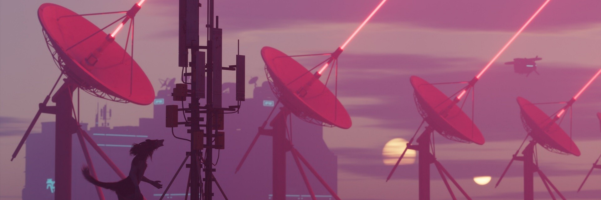 Jonas Potdevin - Portfolio