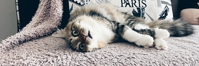 ArtStation - Dasha Vainstein