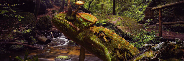 ArtStation - Chronodrome of polymathy